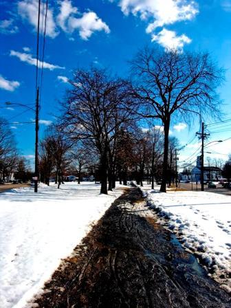 Town Green | colchesterct
